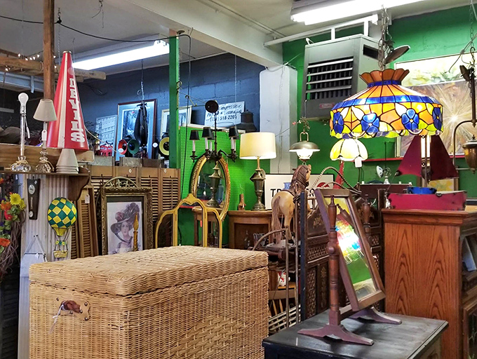 Vintage lamps illuminate collections that span decades &ndash; from Depression glass to mid-century modern, each piece with its own provenance.