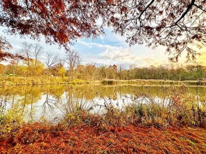 Explore This 145-Acre Park In Ohio With 2 Massive Waterfalls And ...