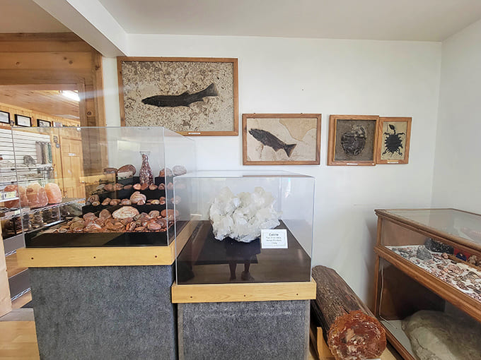 Another angle reveals even more treasures, because one aisle of geological wonders simply isn't enough to contain this collection.