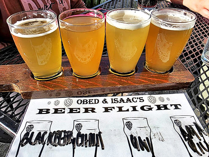 Four glasses of liquid craftsmanship lined up like soldiers, each with its own personality but fighting for the same delicious cause.