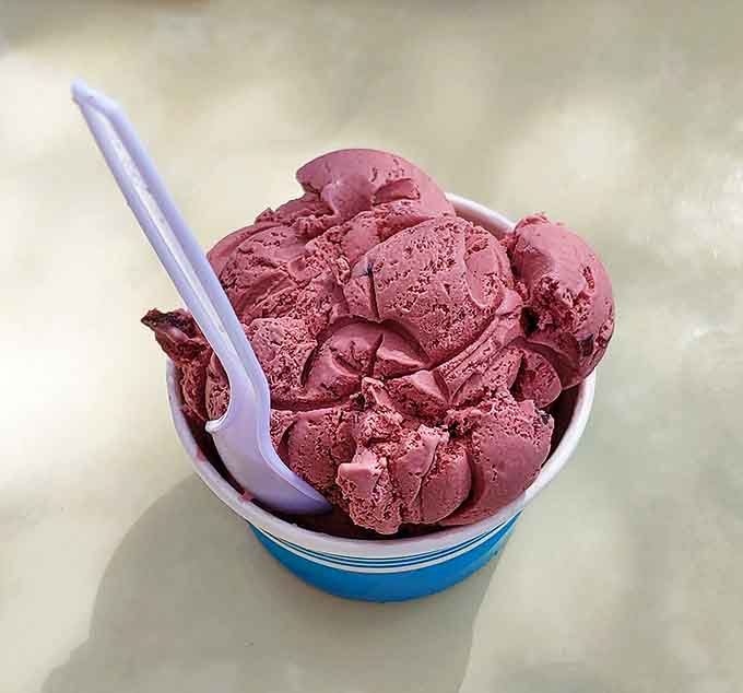 Black cherry ice cream so authentic, you'll check for pits &ndash; each spoonful bursting with fruit that actually tastes like fruit.