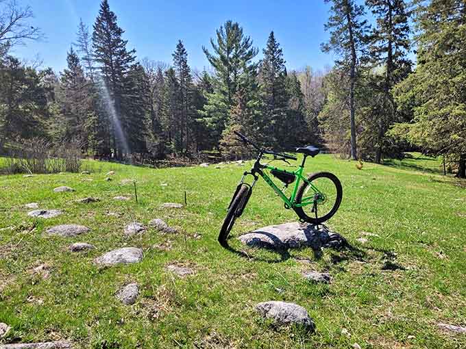 Blacks Grove Park presents nature's playground in vibrant green, where mountain bikers discover trails that challenge both muscles and spirit.