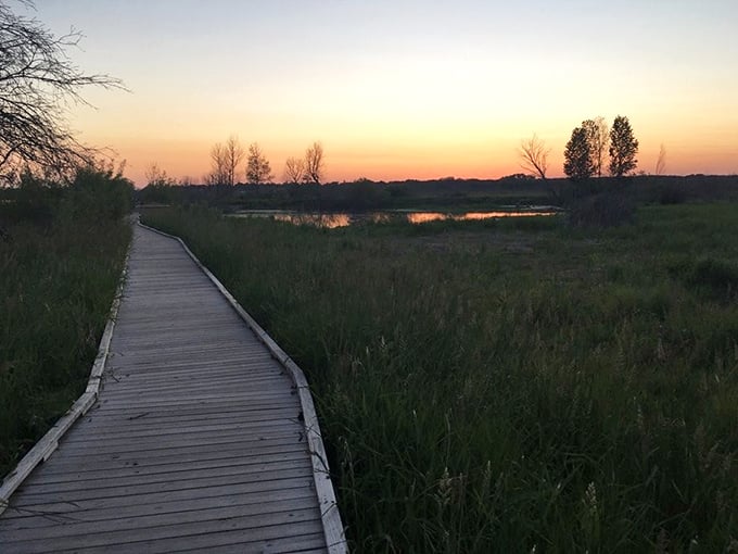 Sunset transforms the boardwalk into a golden pathway, proving that timing is everything in nature's theater.