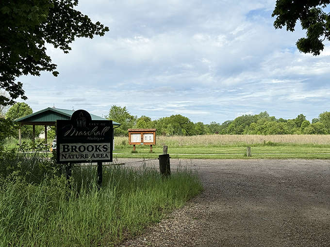 Brooks Nature Area offers a peaceful retreat where the only notifications are birdsongs and rustling leaves.