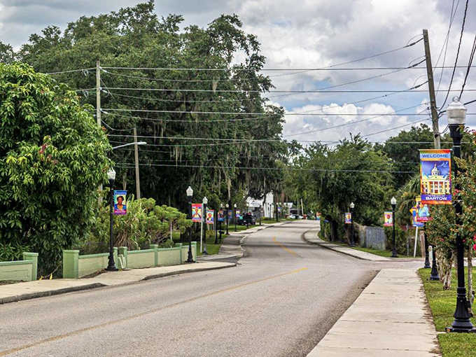 Brown Avenue's tree-lined corridor offers a leafy canopy that dapples sunlight across the pavement – nature's own air conditioning in Florida's heat.