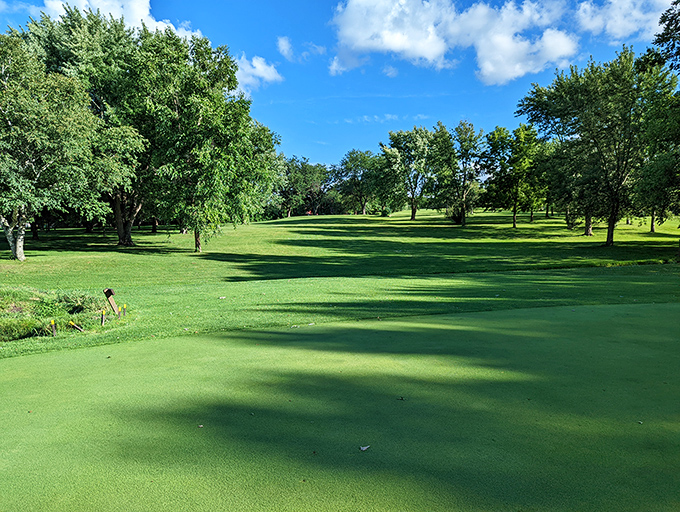 Buena Vista Golf Course unfurls like a green carpet between ancient trees, where perfectly manicured fairways tempt both serious golfers and Sunday duffers alike.