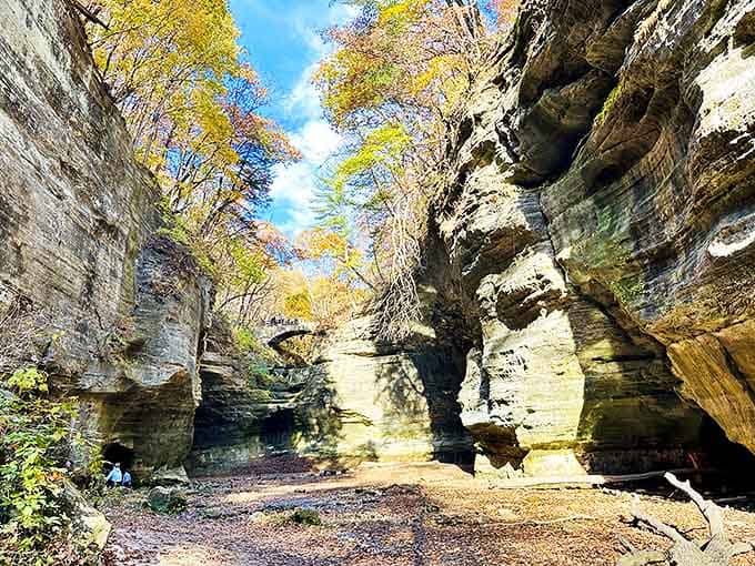 Canyon walls tell ancient stories: These massive rock formations reveal layers of geological history, each stratum representing thousands of years.