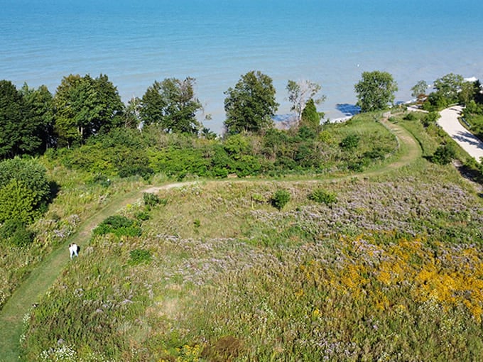 The bluff offers front-row seats to Lake Michigan's daily performance, where the water and sky collaborate on a show that never gets old.