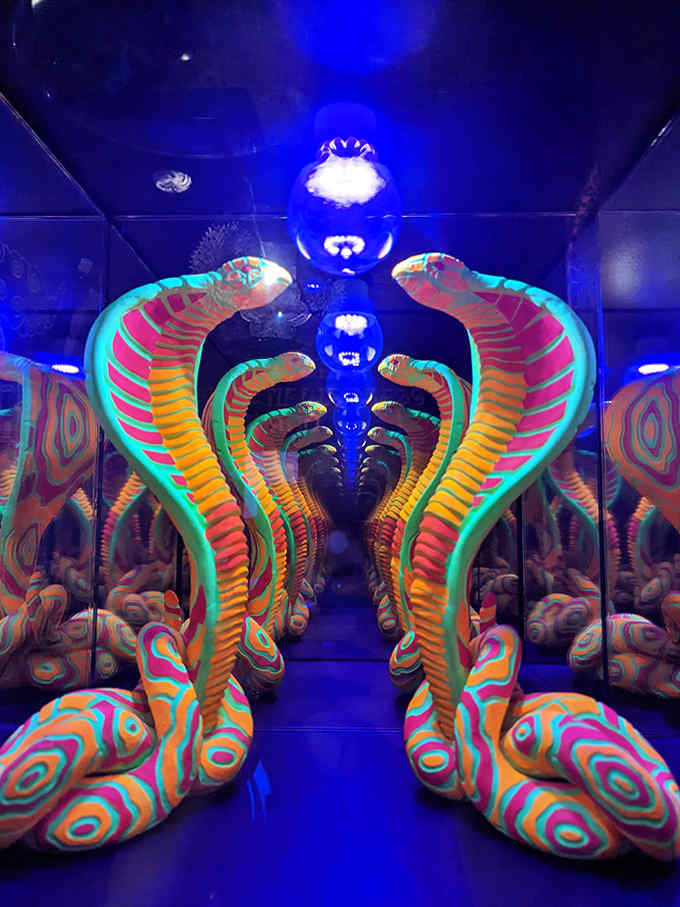 Neon cobras hypnotically pulse with light in a mirror maze that multiplies your confusion exponentially with each step.