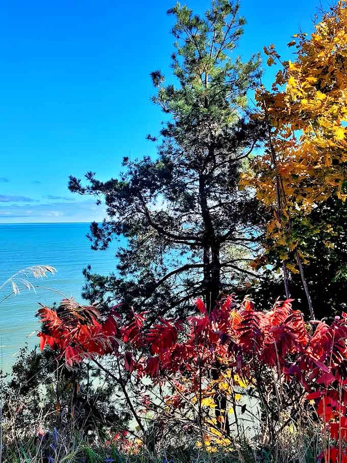 Fall's fiery display creates nature's perfect complement to the weathered wooden deck &ndash; Michigan showing off all its seasonal finery.