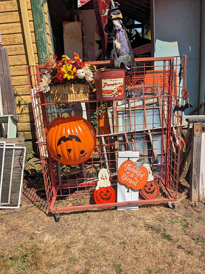 Halloween spirit lives year-round in this festive display, where vintage pumpkins and autumn decorations create a nostalgic harvest celebration.