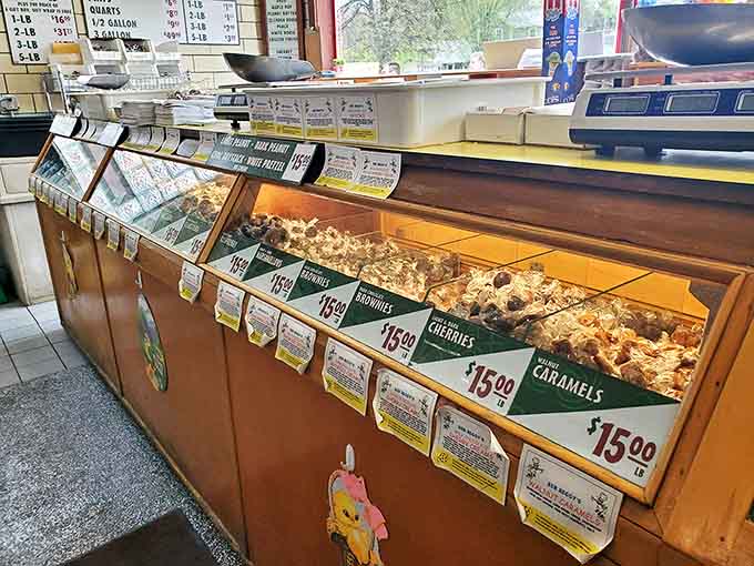The display counter – where dreams are made, diets go to die, and children press their noses against the glass in wide-eyed wonder.