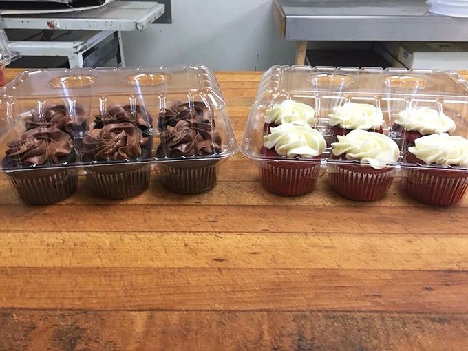 The morning lineup that makes decisions deliciously difficult – each shelf offering its own unique path to pastry happiness.