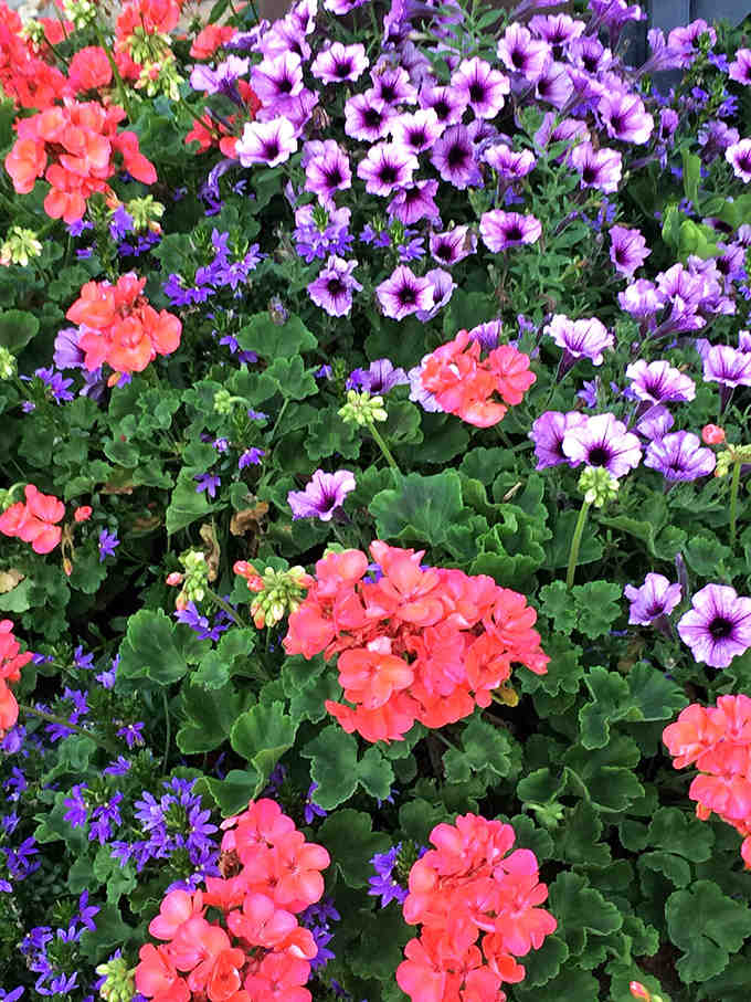 Nature complements engineering as vibrant flowers create a colorful carpet around the base of this metallic giant.