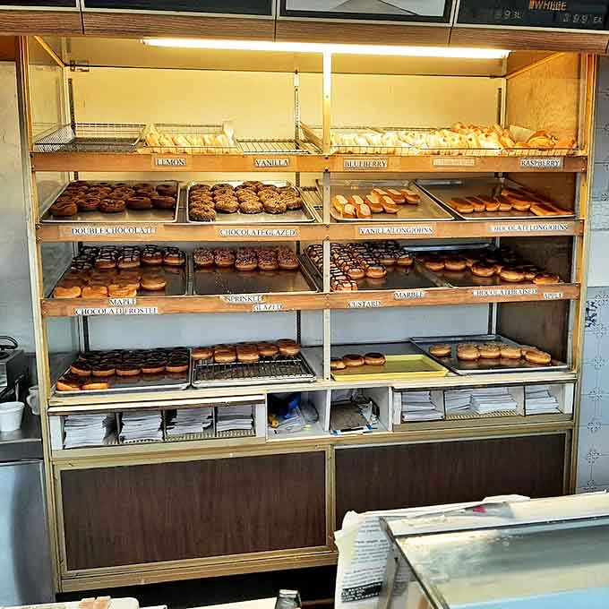 Fresh from the kitchen, these golden rings of joy await their destiny. Some donuts wear sprinkles, others wear glaze – all wear deliciousness.