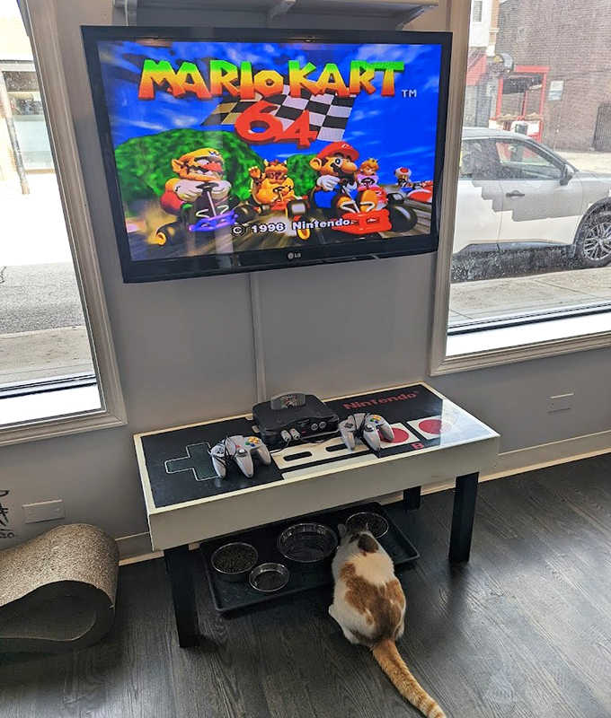 Mario Kart matches take on new meaning with feline spectators &ndash; this N64 setup by the window offers gaming with a side of cat companionship.