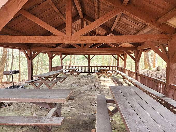 This rustic shelter offers a perfect picnic spot after conquering the trails. Rest those legs and soak in the forest symphony.