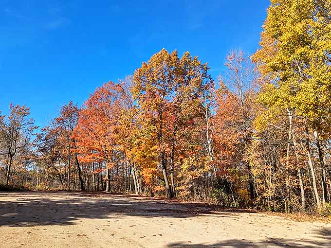 Fall's paintbrush transforms the landscape into a masterpiece of amber and crimson, making even the most amateur photographer look like a genius.