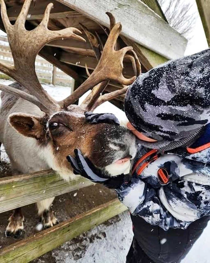 Nose-to-nose with Christmas royalty &ndash; this intimate moment might just have you checking your roof next December 24th.