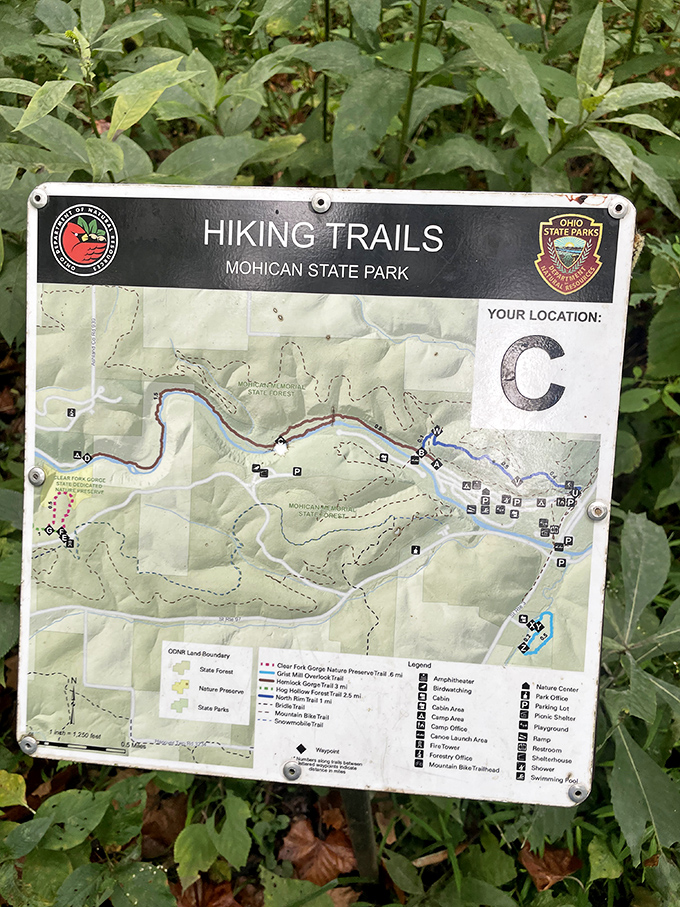 "You are here" &ndash; somewhere magical! This trail map at Mohican State Park proves that getting lost in nature can be a perfectly organized adventure.