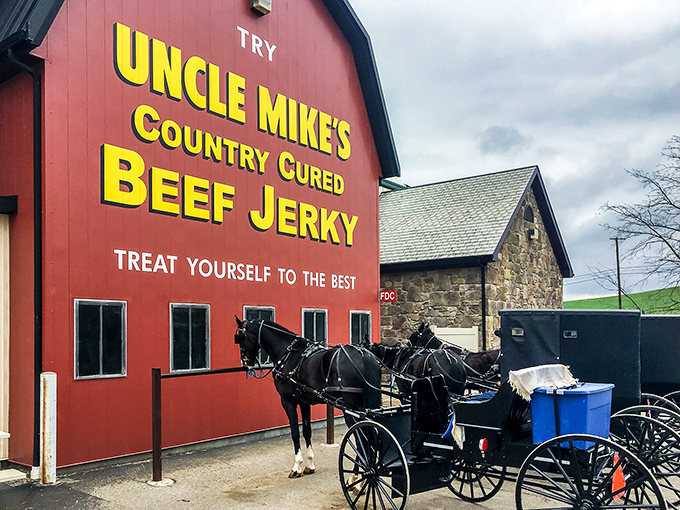 Patient horses wait while their families shop, proving that even in our rushed world, some folks still take the scenic route.