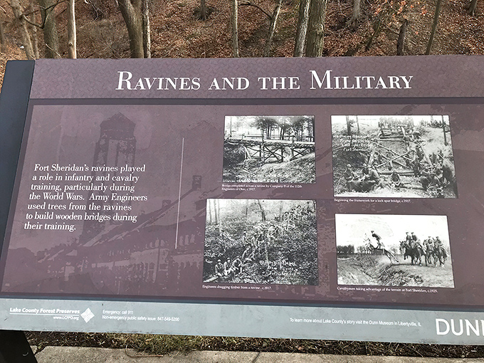 Interpretive signs throughout the preserve tell the fascinating story of how Fort Sheridan's ravines played crucial roles in military training.