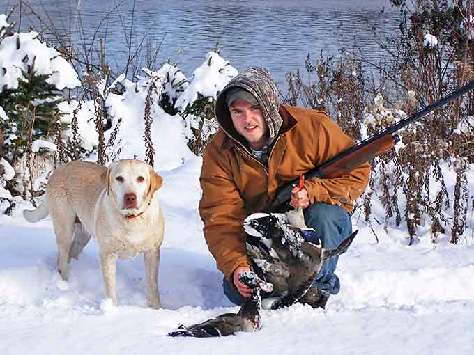 Every outdoor adventure is better with a four-legged friend who's just as excited about nature as you are.