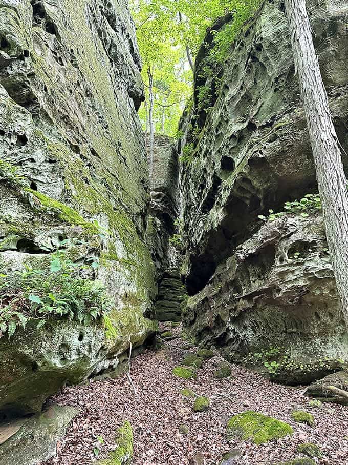 When rocks create their own hallway, you know you're in for some serious geological drama and natural architecture.