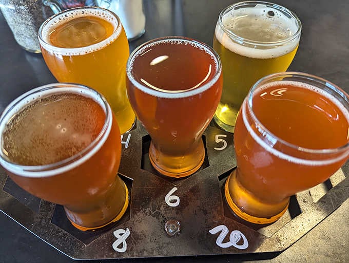 Liquid sunshine in six glasses, each one a different shade of amber possibility, numbered like delicious lottery tickets.