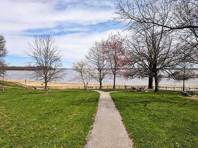 A winding path invites visitors toward Carlyle's shoreline, promising adventures that await just beyond the treeline.