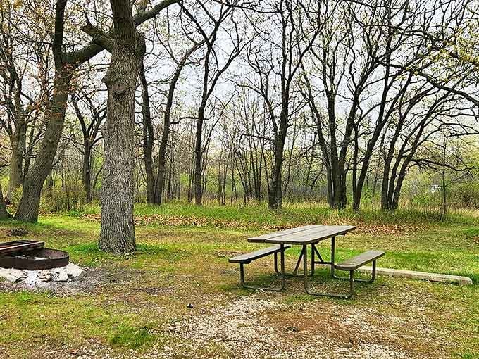 The perfect outdoor dining room: where picnic tables await family feasts and the soundtrack is provided by rustling leaves.
