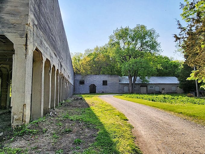 The Quarry Rim trail reveals the island's industrial past, where limestone extraction shaped both the landscape and local economy.