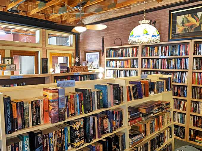 Science fiction and mystery sections create their own universe of possibilities, where time travel and whodunits compete for your next reading adventure.