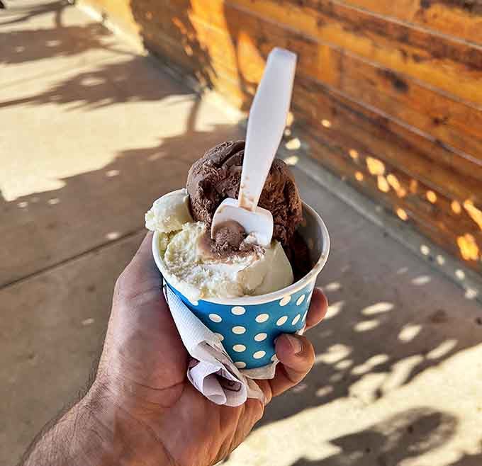 Two scoops sitting pretty in a cup, simple and perfect, like a haiku made of dairy and happiness.