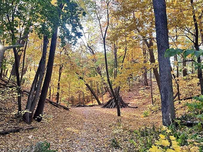 Nature's carpet of golden leaves creates a magical pathway through the woods, inviting visitors to follow wherever it might lead.