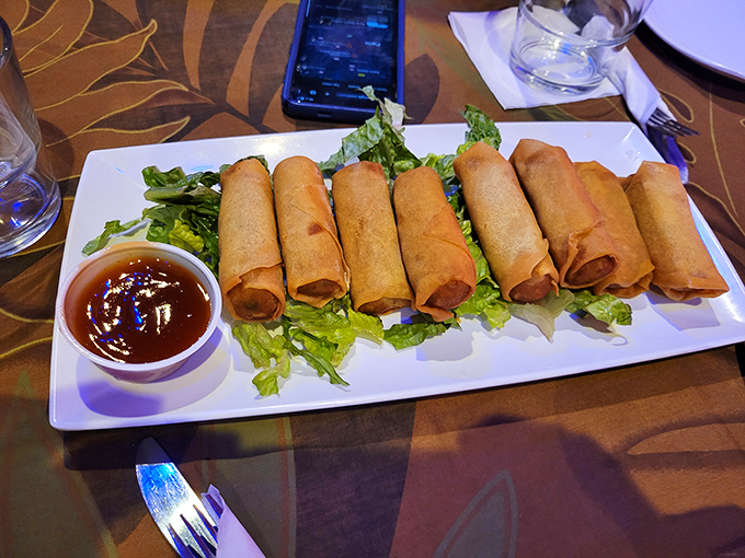 Spring rolls lined up like delicious soldiers, their crispy exteriors hiding savory treasures within &ndash; the perfect handheld vacation starter.
