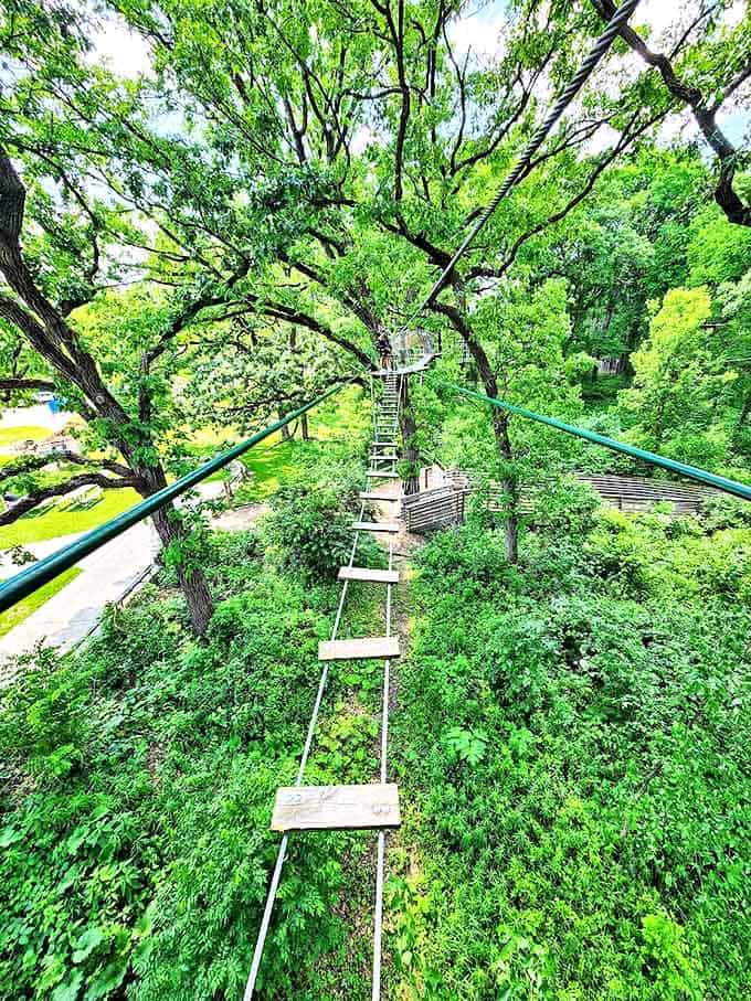 This suspended walkway offers breathtaking views and the unique sensation of walking on wooden planks while dangling stories above the forest floor.