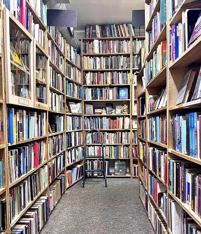 The basketball players of the bookshelf world, reaching heights that require both ladders and courage to explore fully.