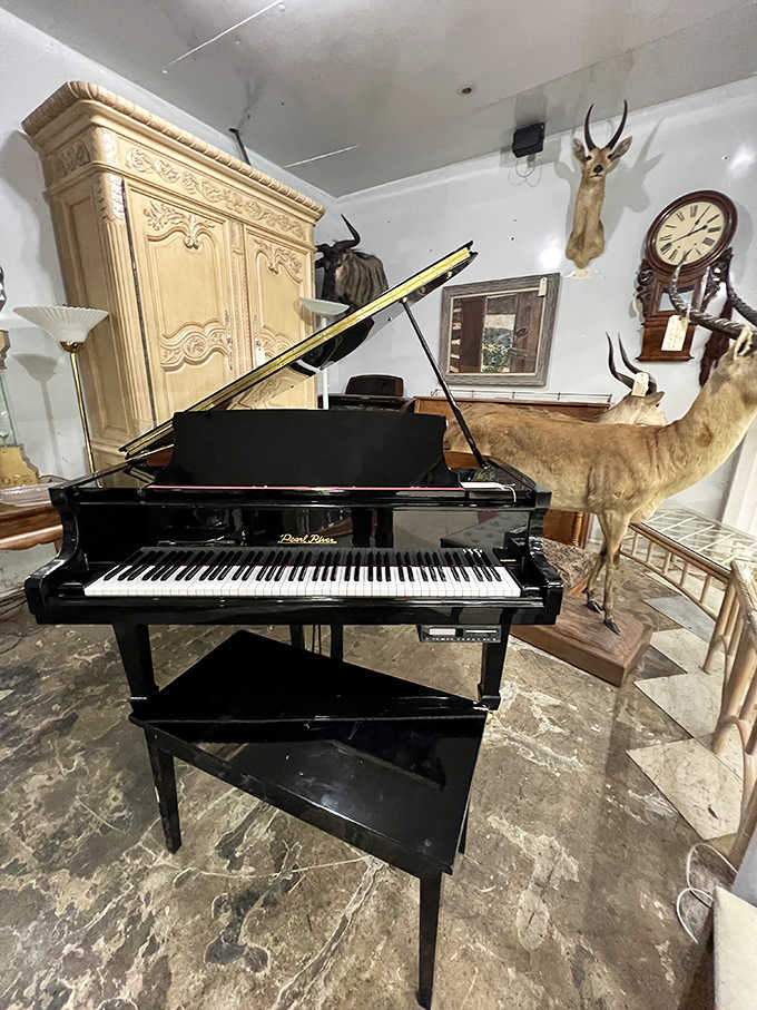 A grand piano shares space with antique furniture and more taxidermy &ndash; the perfect setup for an impromptu concert among the collectibles.