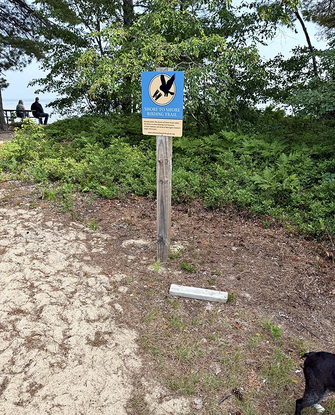 "Shore to Shore Birding Trail" &ndash; where feathered residents outnumber human visitors and prefer to keep it that way.