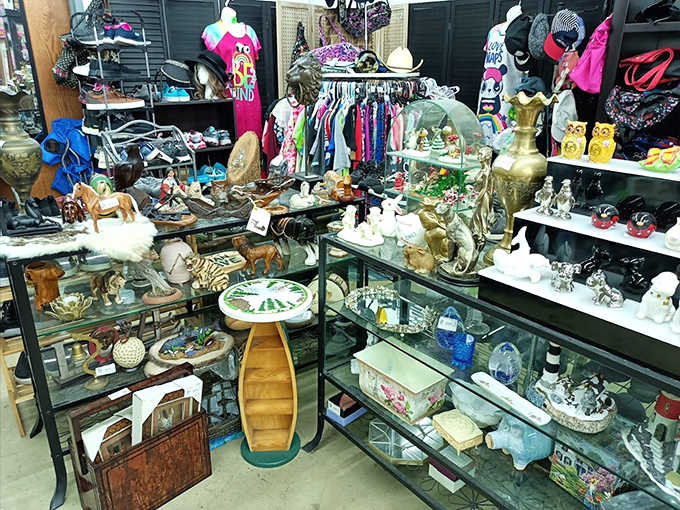 Various items cluster together in beautiful disorder, from vintage kitchenware to decorative pieces, each one a potential conversation starter for your home.