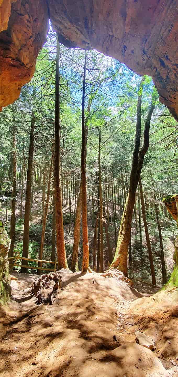 Portal to another world: Standing inside looking out offers a framed masterpiece of forest scenery, like nature's own living painting.