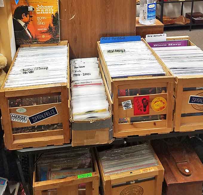 Vinyl paradise! Crate-diggers rejoice as Beatles albums nestle alongside forgotten gems, each record a musical time capsule.