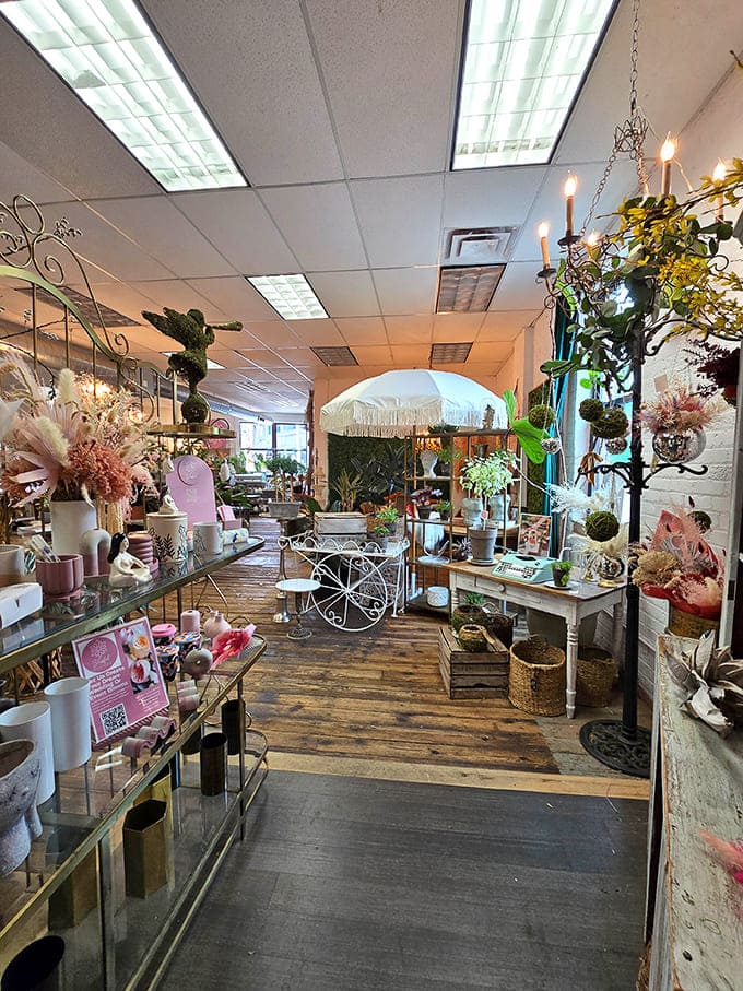 This aisle shot captures the inviting atmosphere that makes you want to explore every corner and discover every hidden treasure here.