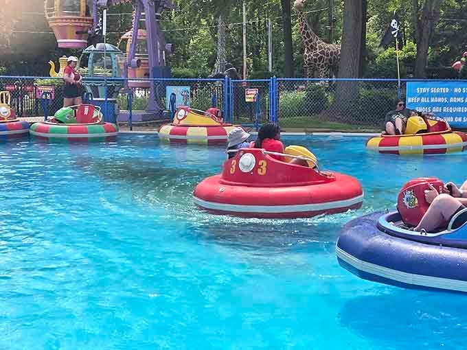 Bumper boats transform ordinary folks into naval commanders, armed with water cannons and questionable steering skills on a hot summer day.