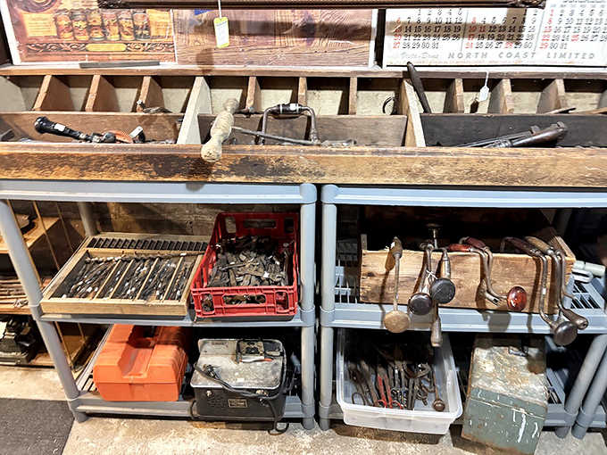 Workshop treasures await skilled hands &ndash; hammers that built houses, wrenches that fixed engines, and tools whose purpose remains delightfully mysterious.