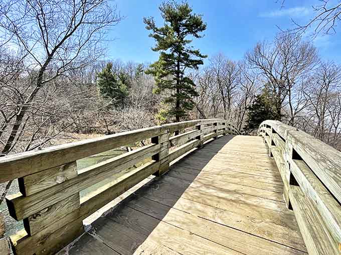 The wooden bridge invites you deeper into the park, like a friendly usher showing you to the best seats in the house.