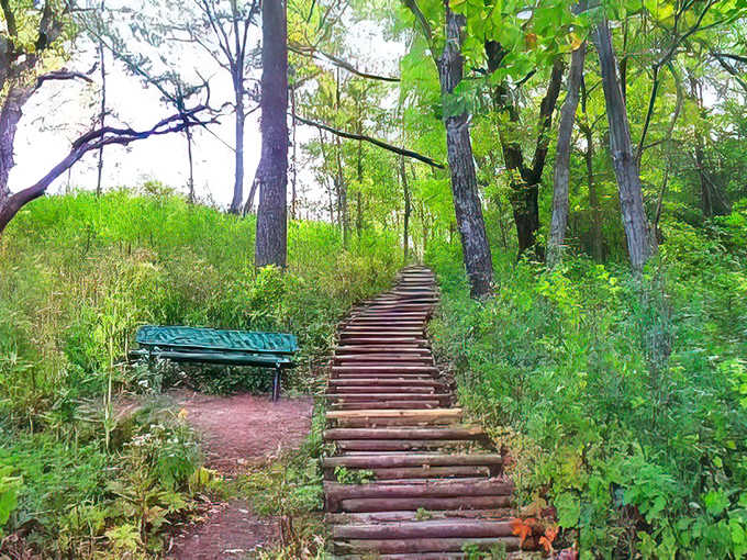 These rustic wooden steps weren't built for speed &ndash; they're nature's way of saying "slow down and notice everything."