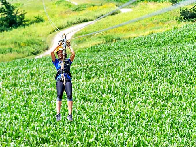 Cornfields below, blue skies above, and nothing but a cable between&mdash;Illinois adventure at its finest.