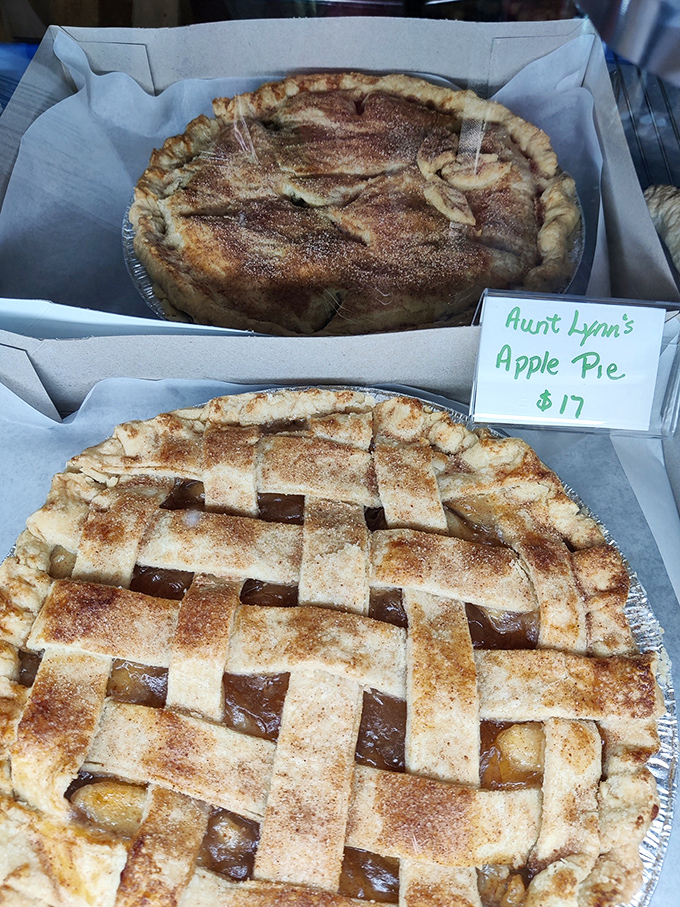 Aunt Lynn's apple pies aren't just desserts – they're time machines to simpler days when grandma's kitchen was the heart of the home.